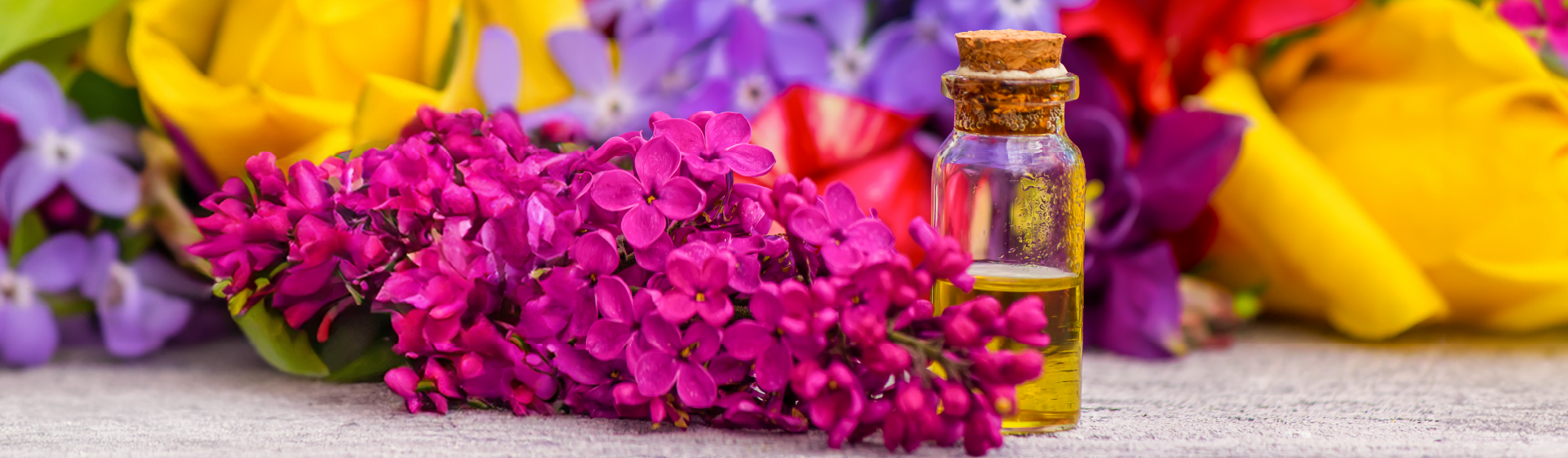 Home - My French Perfume